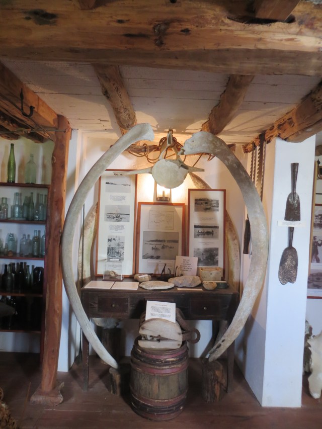 Carter House | Carter House Museum