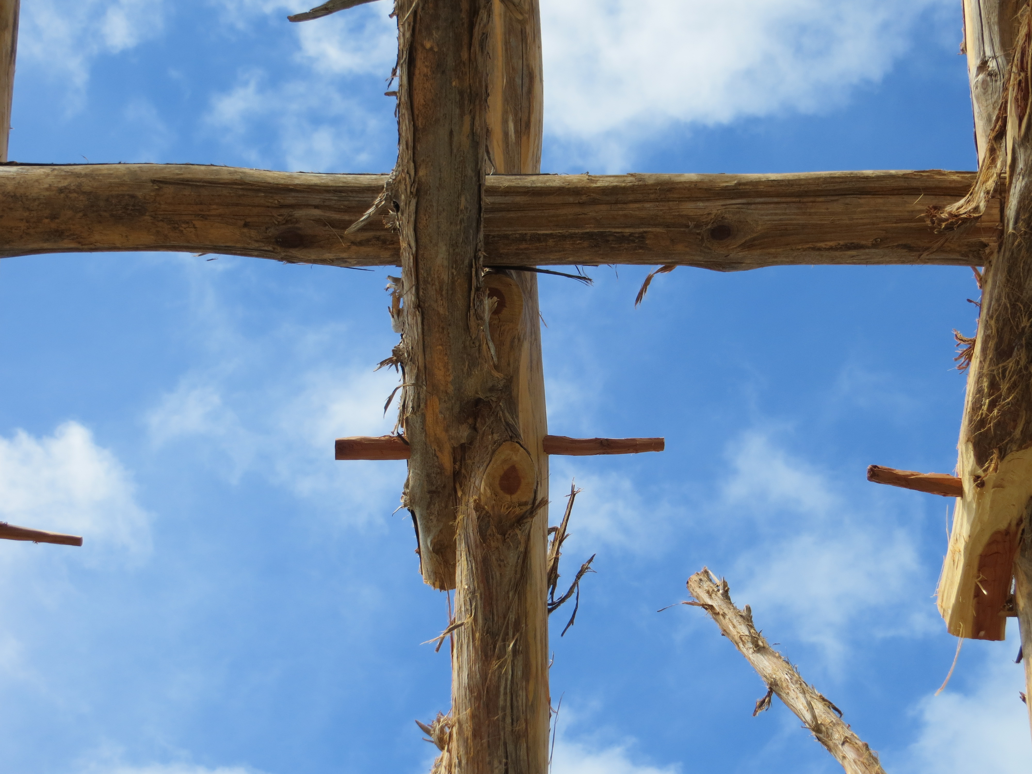 The Settlers’ “Cabben” | Carter House Museum